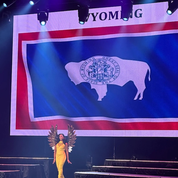 Wings for Photo Booth Angel Wings for Backdrop, White Wings, Selfie ...