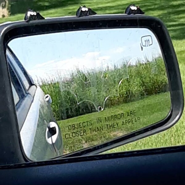 6pc Cool Bat Car Rearview Mirror Decor, Cute Bat Car Dashboard Decor ...