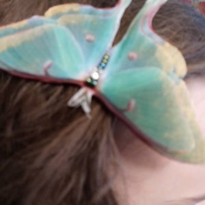 Silk Luna Moth Hair Clips With 3d Double-layer Wings Hair - Etsy