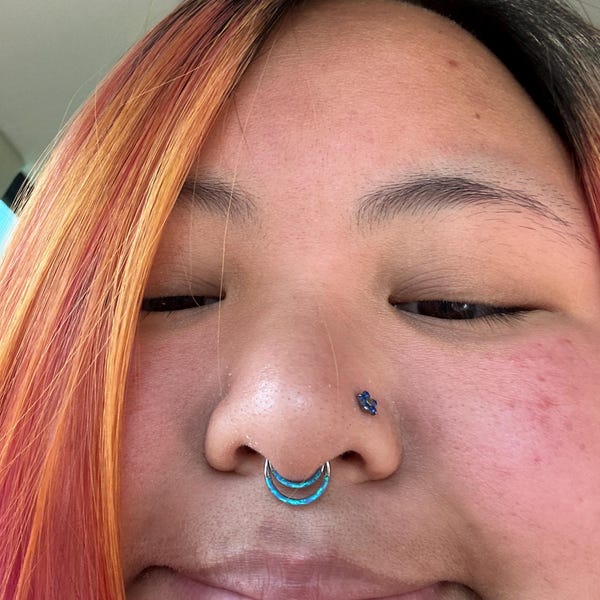 Cute Little Bee Nose Ring 16G Nasal Septum Jewelry Nasal Septum Clicker ...