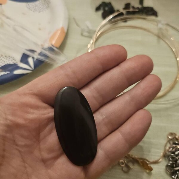 Grasshopper ? Larva - Nematode Worm Parasite - Fossil Plate - Etsy