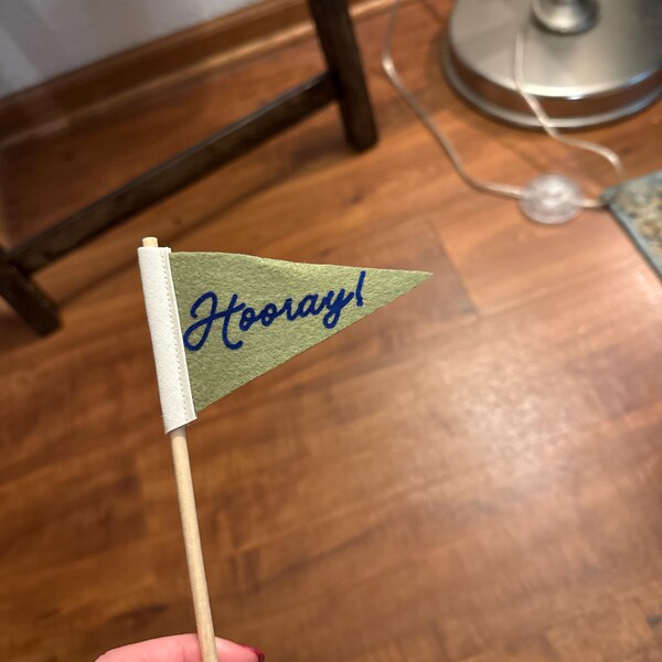 Back to School Waving Pennant Triangle Flag on a Stick, First Day of ...