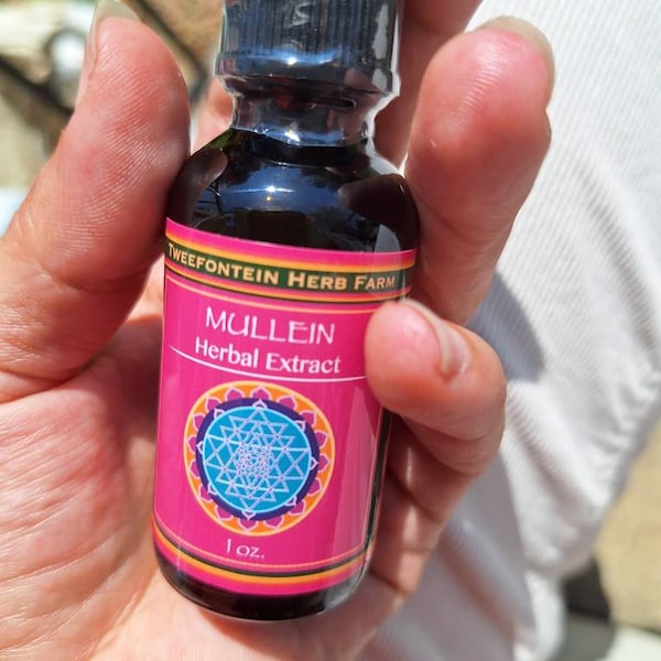 Gravel Root Tincture // Extract // Organic 1 Oz. eupatorium Purpureum ...