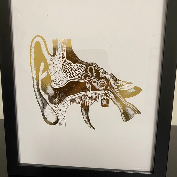 Human Ear Anatomy Gold Foil Print, Gold Print, Custom Print in Gold ...