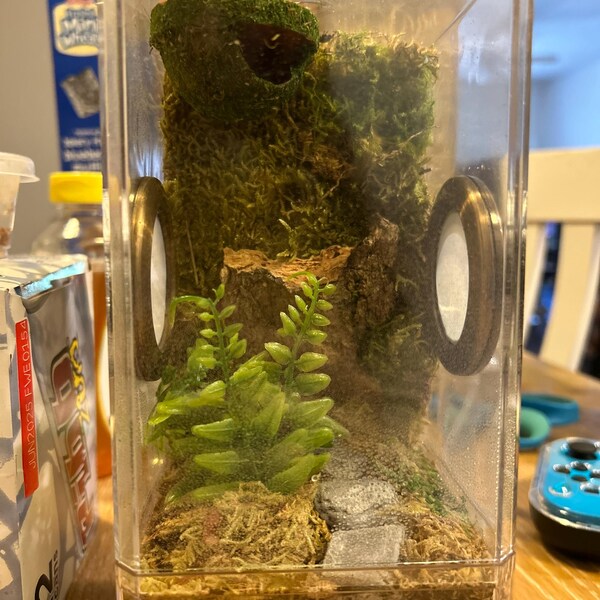 Steampunk Corset With Overlays & Tooled Details - Etsy