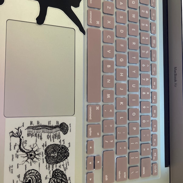 Laptop Sticker Anatomy Neuro Brain Diagram Vinyl, Nursing Student ...