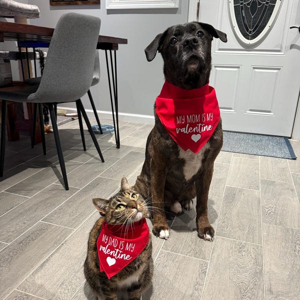 Ball-less & Flawless Dog Bandana, Funny Dog Bandana, Neuter Bandana ...