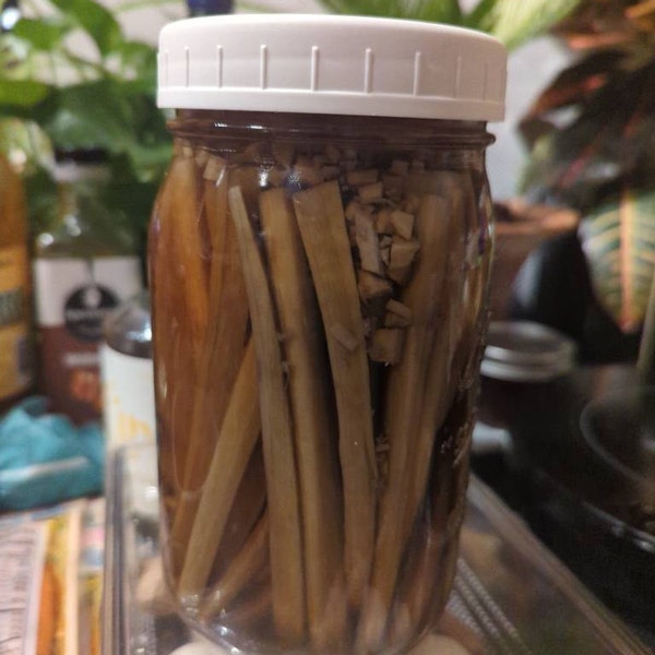 2-2.5lbs FRESH BURDOCK Root(gobo Root, Bardana) Free Shipping - Etsy