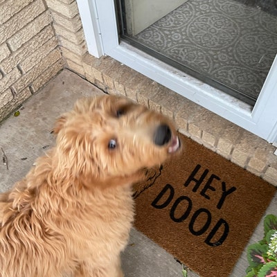 1426 Hey Dood Golden Doodle Dog Goldendoodle Doormat Labradoodle ...
