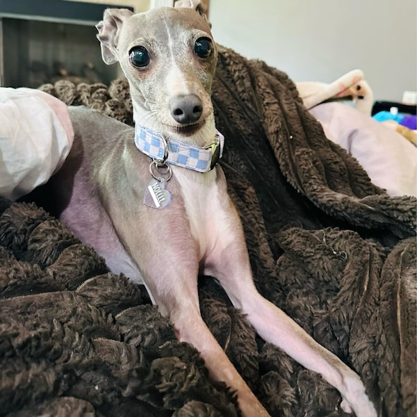 Luxe Blue Sapphire Velvet Key Fob Wristlet | Winter | Rose Gold, Gold ...