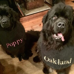 Slobber Drool .bibs Personalised With Your Pets Name Great - Etsy