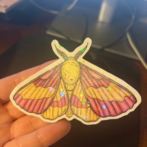 Regal Moth Holographic Sticker, Regal Moth Sticker, Laminated Sticker ...