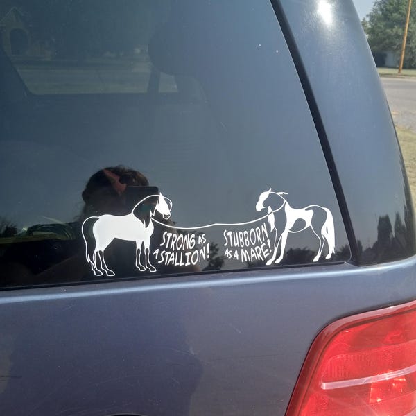 Paint War Pony Decal "stubborn as a Mare!" - Equine, Horse Vinyl Decal ...