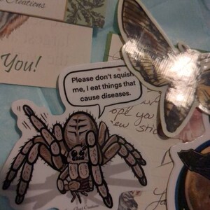 Velvet Spider Sticker 3.5 Inch Glossy Sticker Ladybird Spider Insect ...