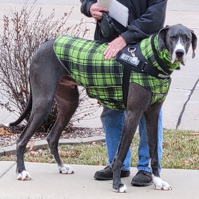 Dinosaur Spine Great Dane/big Dog Custom Sized Fleece T-shirt, With ...
