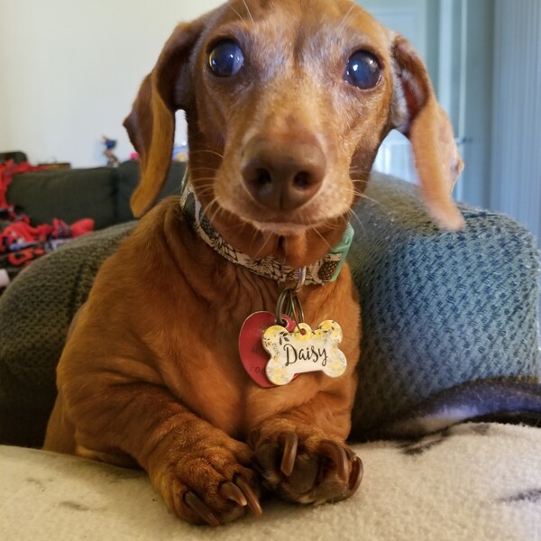 Yellow Flowers Dog Tag, Rustic Floral Dog Tag, Faux Wood ID, Cat ID Tag ...