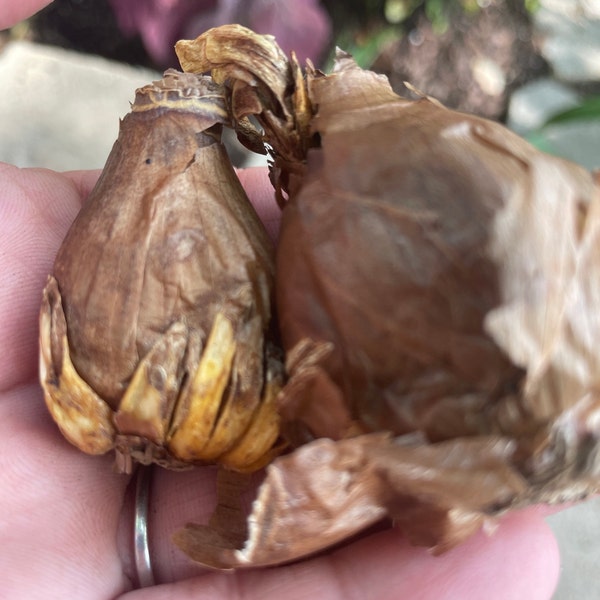 30 Calming Corner Feelings Poster Classroom, Calm Down Emotion Chart ...