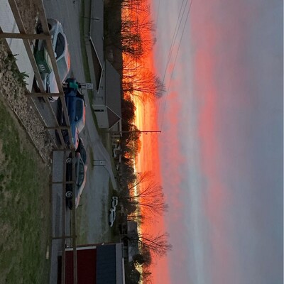 Pikachu Rose Bouquet - Etsy