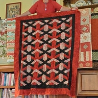 Crimson Christmas, Krista Moser Modern Quilt Patterns, Use Large 60 ...