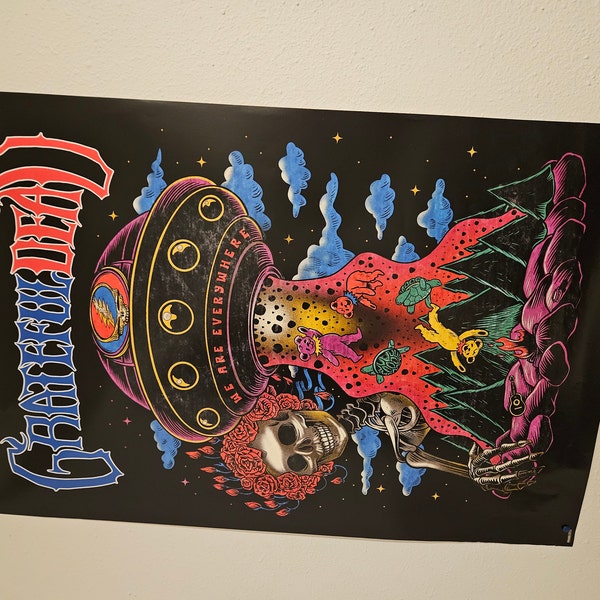 Lana Del Rey NFR! Poster 24" X 36" - Etsy