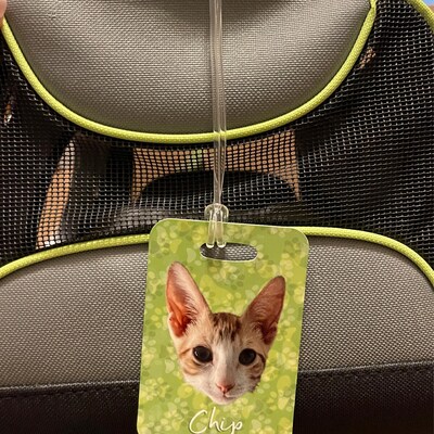 Custom Golf Cart Shuttle Pick up Sign, Personalized Wedding Shuttle ...