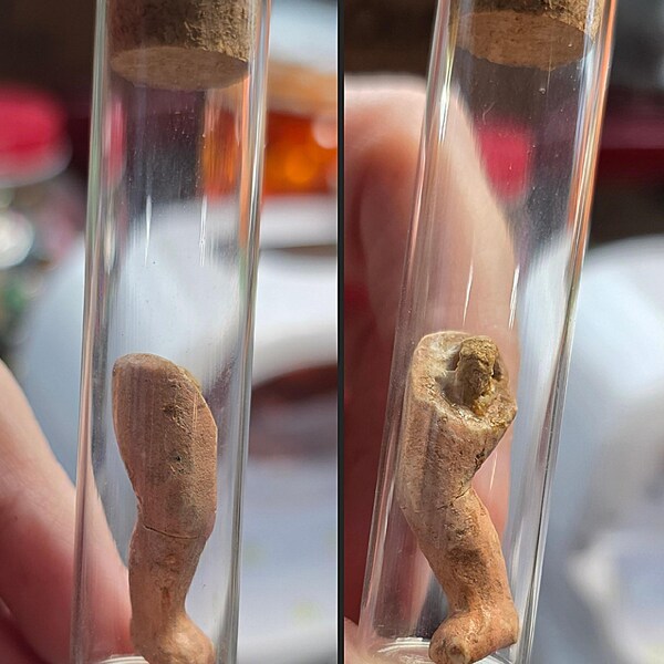 Real Moose Pellet in Glass Vial, Moose Poop, Animal Dung, Weird Gift ...