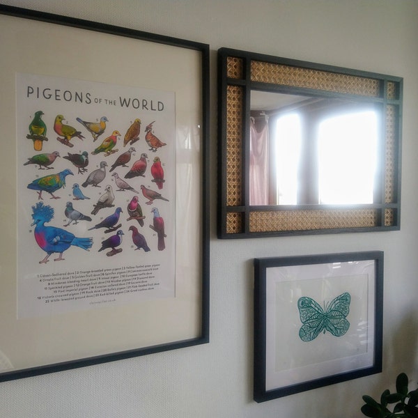 Pigeons of the World Print / Bird Wall Art / Educational Animal Poster ...