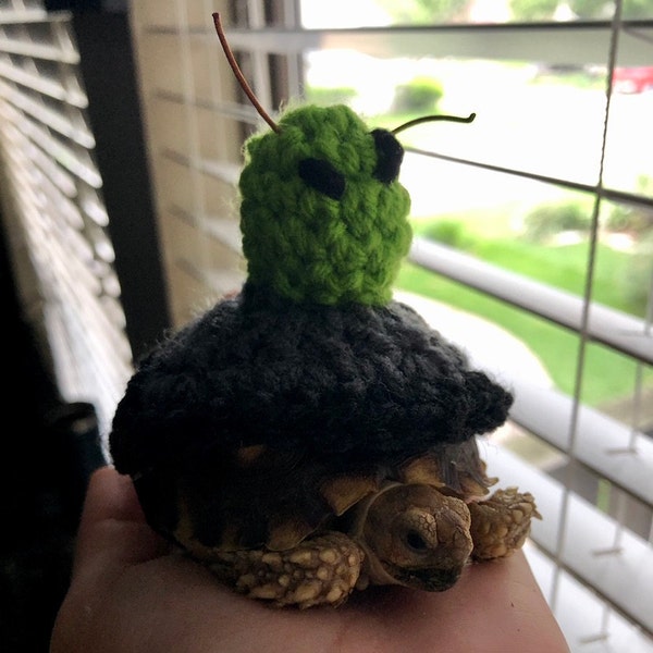 Alien in Spaceship Costume for Turtle/tortoises - Etsy