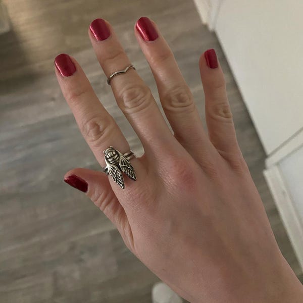 Silver Cicada Ring Sterling Silver Insect Ring Witch Ring Bug Ring ...