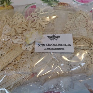 Antique Paper and Textile French Set. Fabric Pieces Pinned to a Book ...