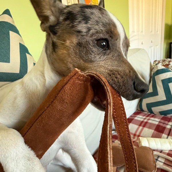 All-natural Water Buffalo Cheek Rolls for Dogs – Long Lasting Rawhide ...