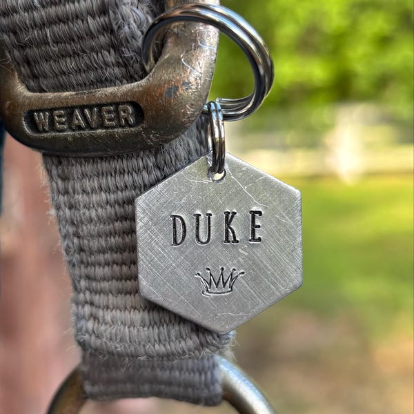 Custom Bridle Tag, Halter Tag, Horse Name Tag, Gift for Horse Lover ...