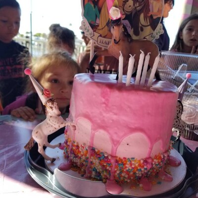 NEW Mini Princess Party Hats for Animals, Dolls and Dinosaurs Set of 3 ...