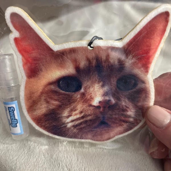 Funny Air Freshener - Flaming Eye Freshener - Cute Air Freshener - Cool ...