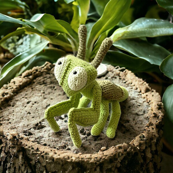 Praying Mantis Crochet Pattern, Amigurumi Mantis PDF File in English ...