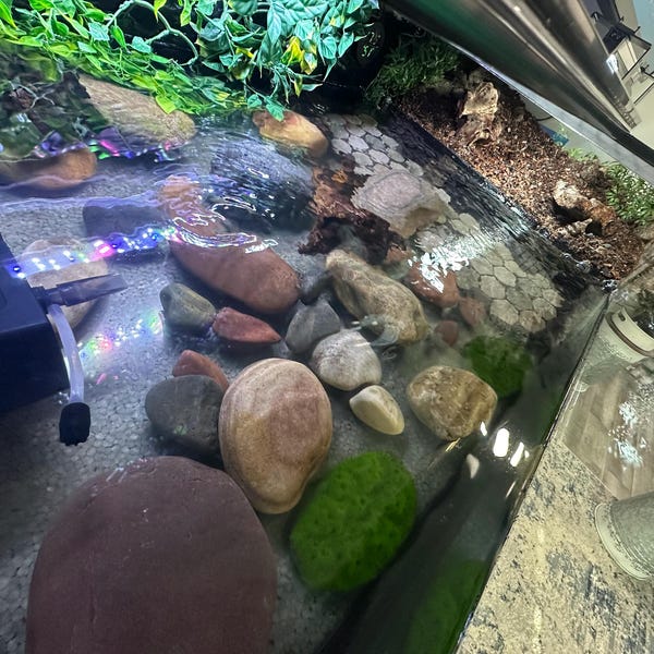 4-5lbs River Rocks Colorful Stones Smooth Aquarium Rocks Terrarium ...