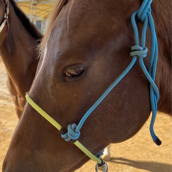 Rope Headstall - Etsy