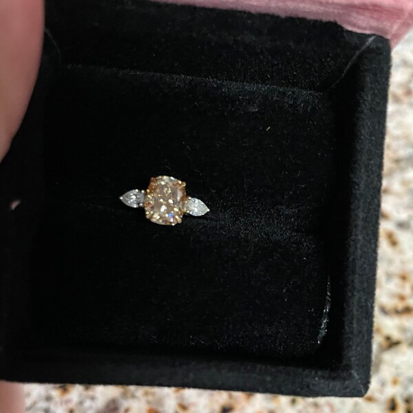 Emily Ratajkowski Celebrity Engagement Ring Princess and Pear Cut ...