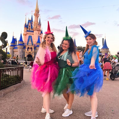 Disney Fairy Hat, Fairy Headband, Sleeping Beauty, Flora Fauna and ...