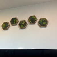 Hexagon Moss Wall Art Moss Wall Decor Preserved Moss Art Framed Moss ...