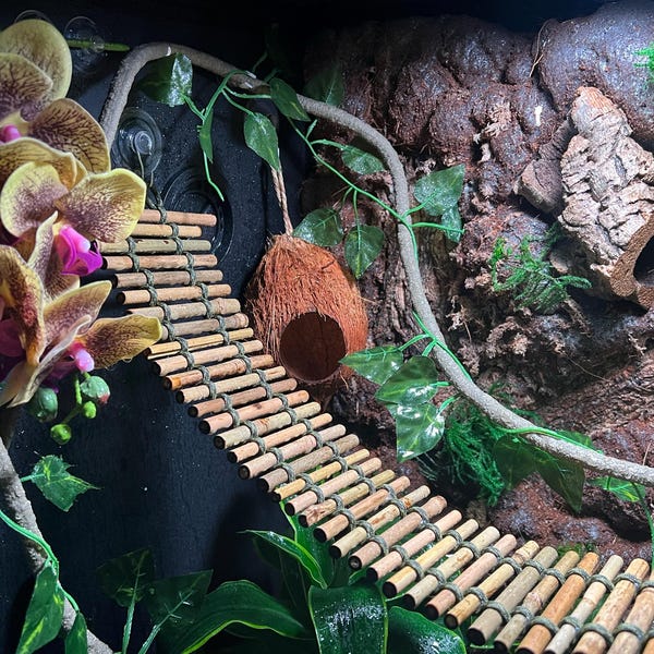 Bamboo Bridge- 4" Width - (perfect for Crested Geckos, Leopard Geckos ...