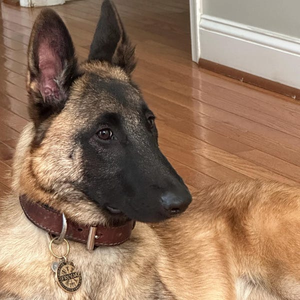 Egyptian Hieroglyphics Pharoah Dog Tag, Egypt Keyring Keychain ...