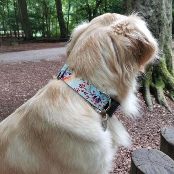 Hands Free With Neck Strap for Dog Mom and Dog Dad - Etsy