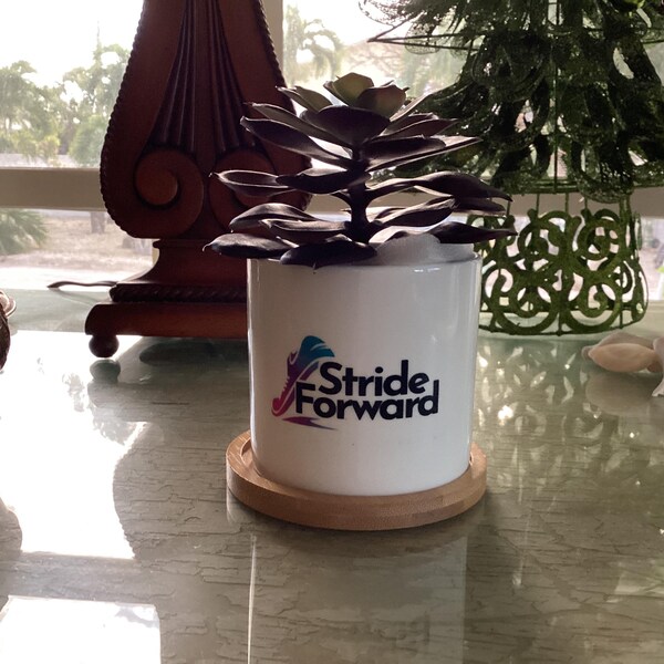 Personalized DNP Graduation Gift - 3" White Ceramic Pot W/ Live Plant - DNP Gift Doctor of ...