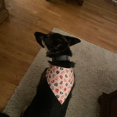 Science Themed Reversible Snap on or Slip on Cat or Dog Bandana in ...