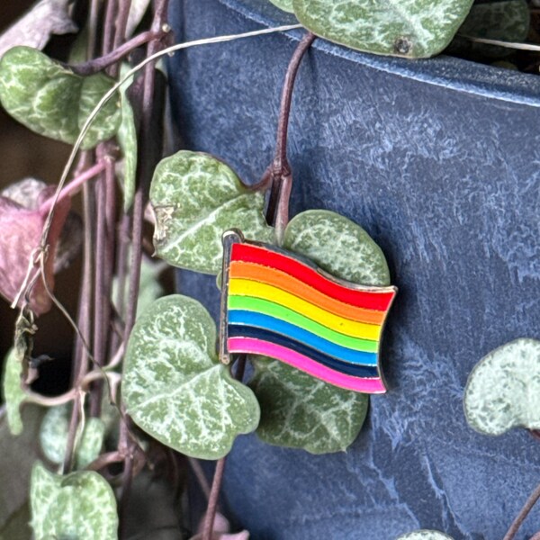 Cloud Shaped Rainbow Window Clings. Prism and Light Bending. Unique ...