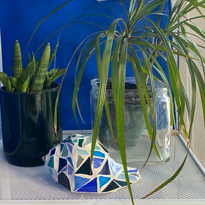 Mosaic Conch Shell Shell Decor Beach Lover Home Decor Unique Conch and ...