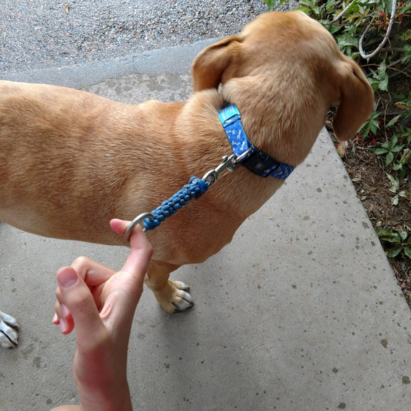 Paracord Dog Training Tab(grab Tab) or Safety Strap - Etsy