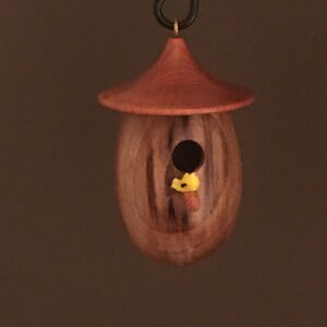 Worlds Tiniest Bird/ Tiny Bird/ Mini Bird/ Micro Mini Bird/ Tiny ...