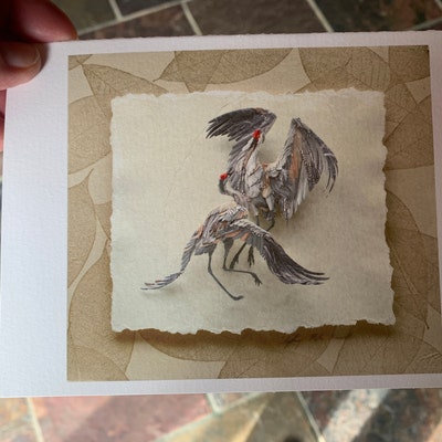 Blank Card 'trilobite: Terataspis Grandis' Paper - Etsy